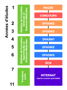 Médecine - Tutorats Santé