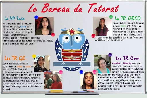 Poly QCM Histologie Tutorat Toulouse - Lca-ecninfo